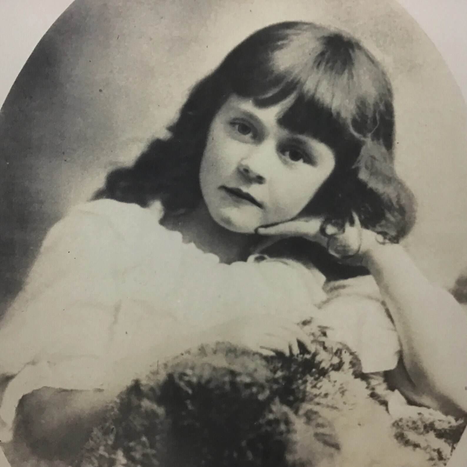 Original Early 1900s Photo - Young Girl Studio Portrait - Sepia Print ...