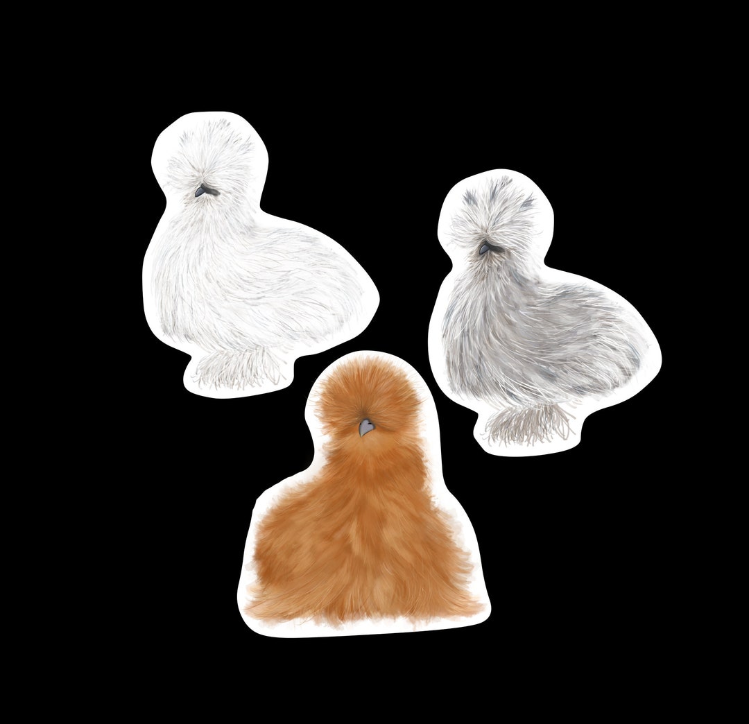 Silkie Chicken Glossy Vinyl Stickers Fluffy Chicken Stickers - Etsy