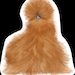 Silkie Chicken Glossy Vinyl Stickers Fluffy Chicken Stickers - Etsy