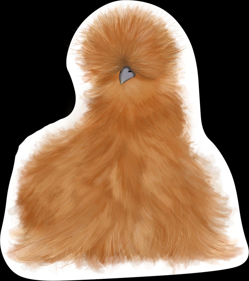 Silkie Chicken Glossy Vinyl Stickers Fluffy Chicken Stickers - Etsy
