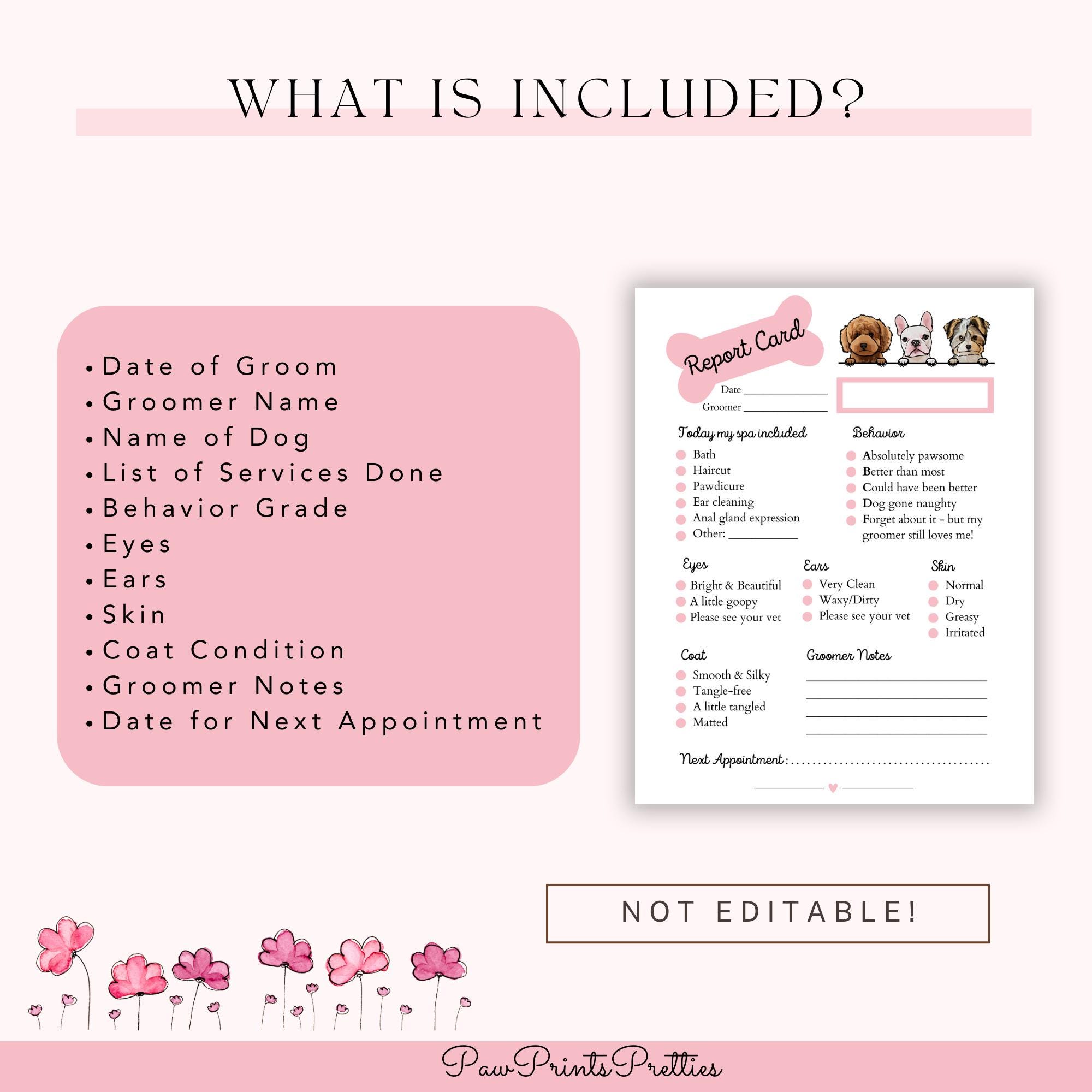 Dog Grooming Report Card Printable - Digital & Instant Download ...