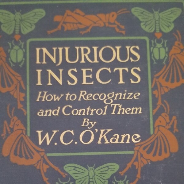 Antique Entomology - Etsy