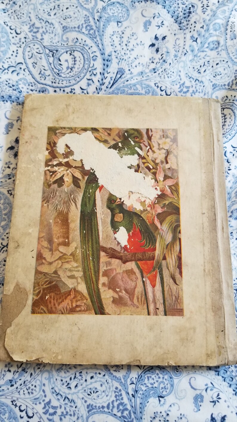 Antique 1890s Children Book Tales of Fairyland Little Sunbeam Series ...