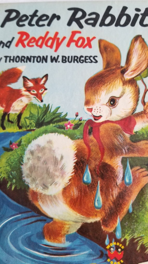 Peter Rabbit and Reddy Fox 1954 Vintage Children Book thomas - Etsy
