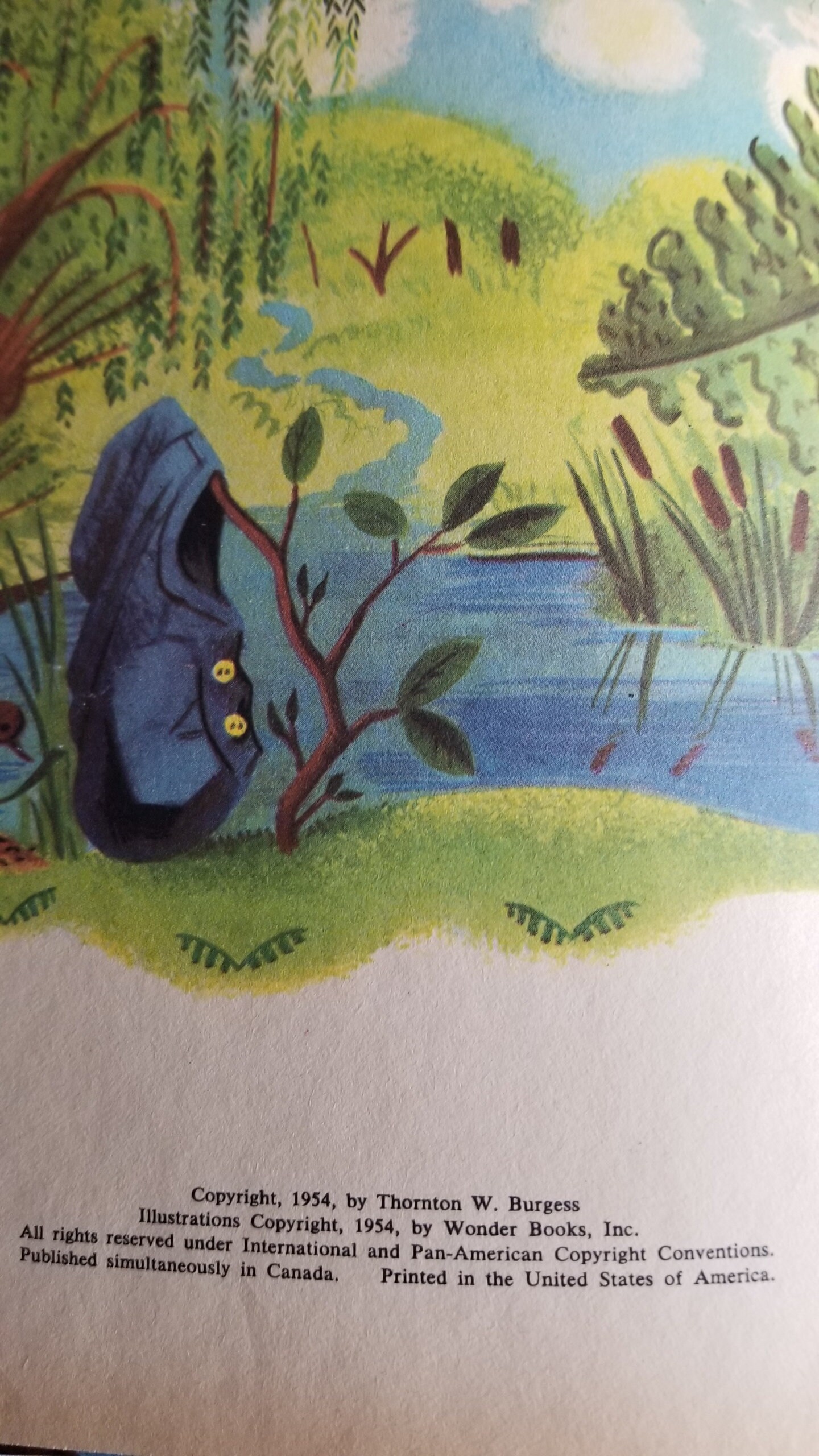 Peter Rabbit and Reddy Fox 1954 Vintage Children Book thomas - Etsy