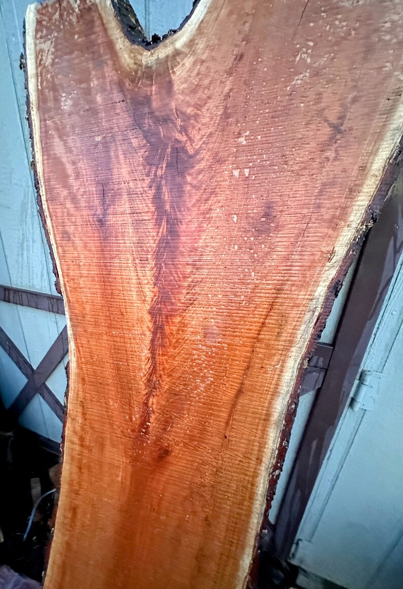 Cherry Crotch Live Edge Slabhighly Figured Feather Only 1 Available Etsy