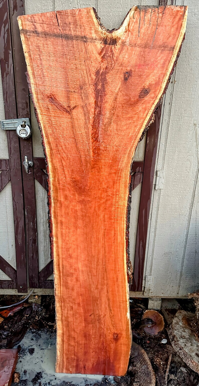 Cherry Crotch Live Edge Slabhighly Figured Feather Only 1 Available Etsy