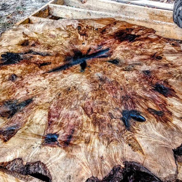 Burl Wood Table - Etsy