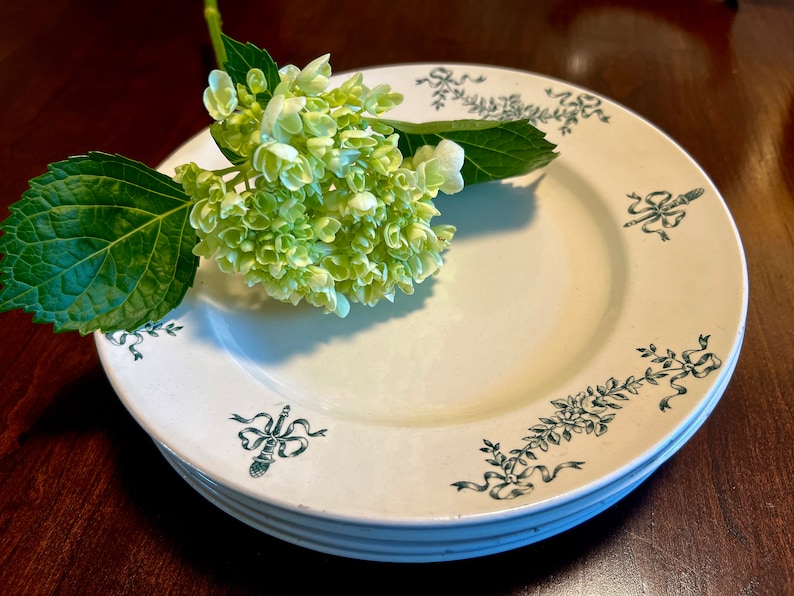 1800’s French Antique Ironstone Longchamp Dinner Plates, Green Knot and ...