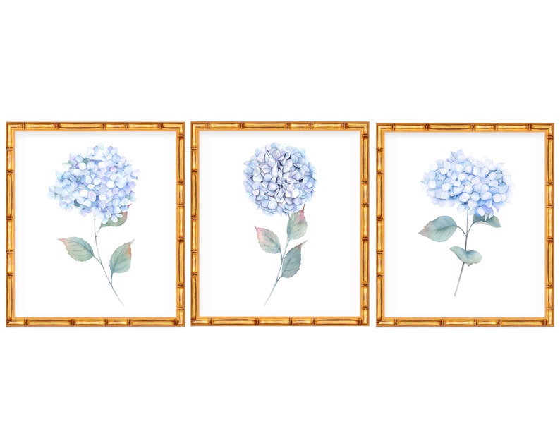 Three Art Prints Blue Hydrangeas // Nursery Decor // Hydrangea - Etsy