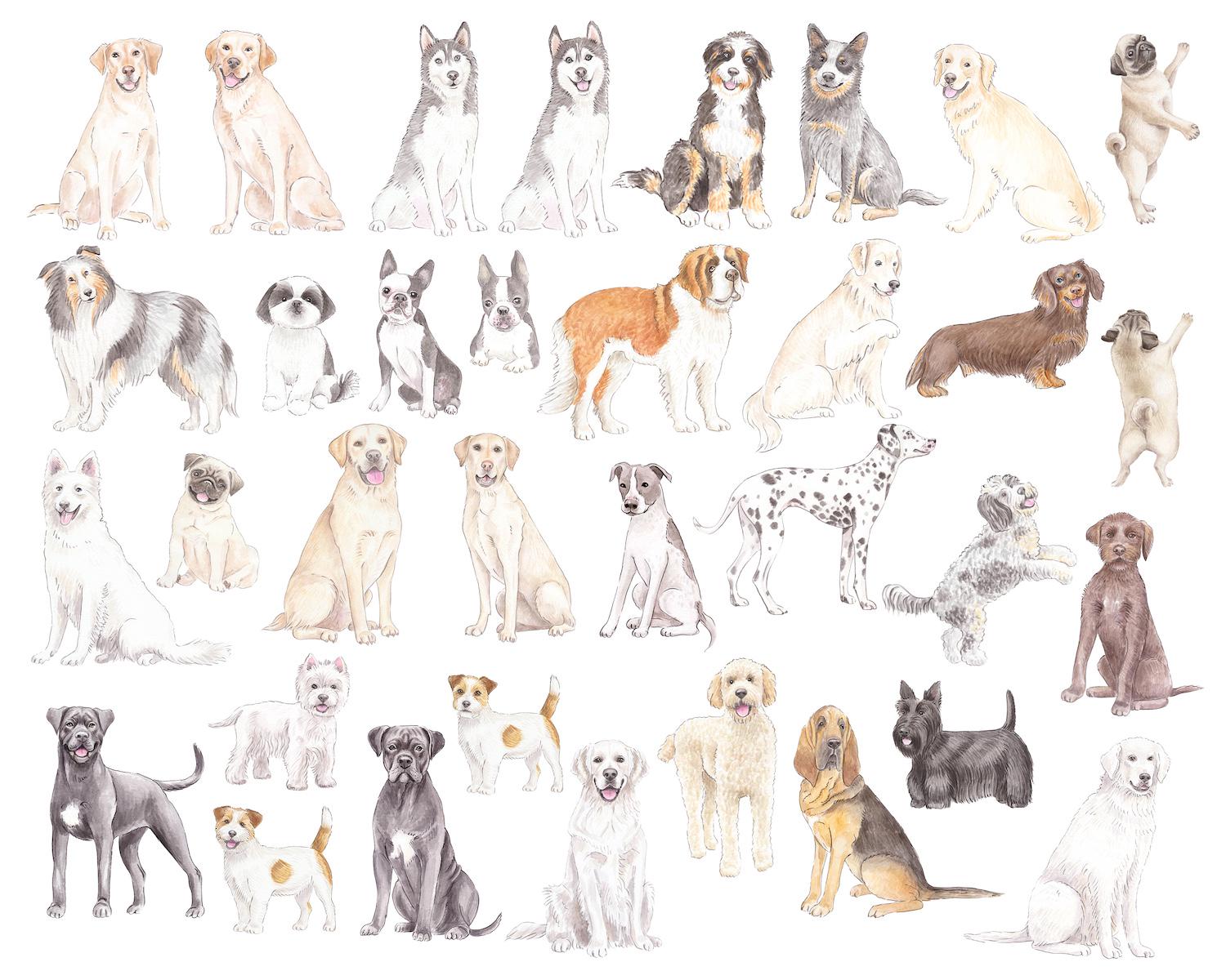 Nursery Art Print Dogs on the Hunt // Big Boy Room // Puppy Watercolor ...