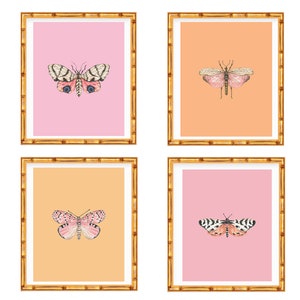 Orange Butterfly - Etsy