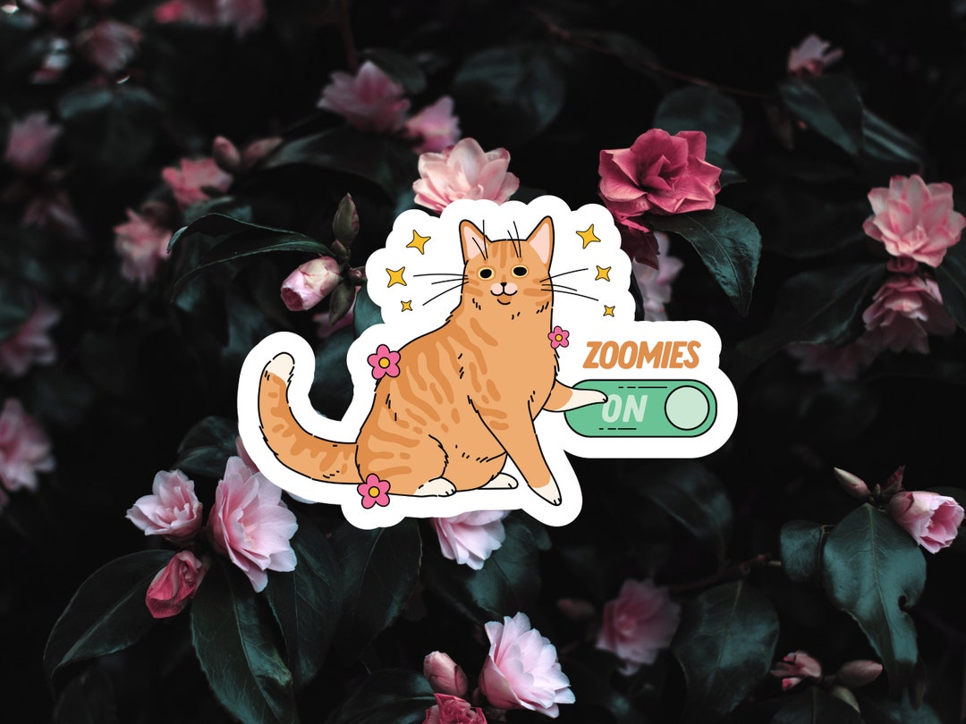 Zoomies on Kitty Cat Waterproof Vinyl Die Cut Stickers - Etsy