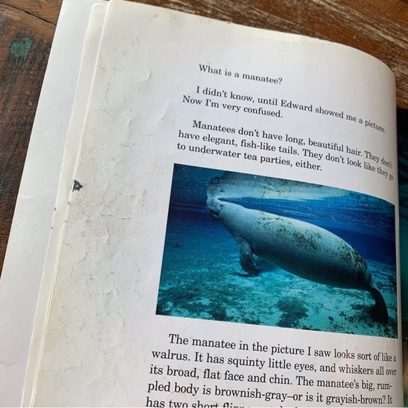 Manatees for Kids wildlife for Kids Series by Patricia Corrigan 1996 ...