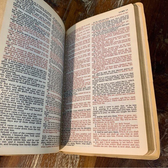 Holy Bible Dictionary Study Helps, King James Version 1979 Pink Cover ...