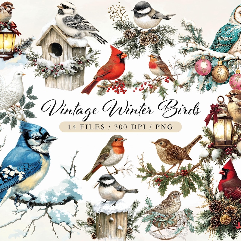 Winter Birds - Etsy