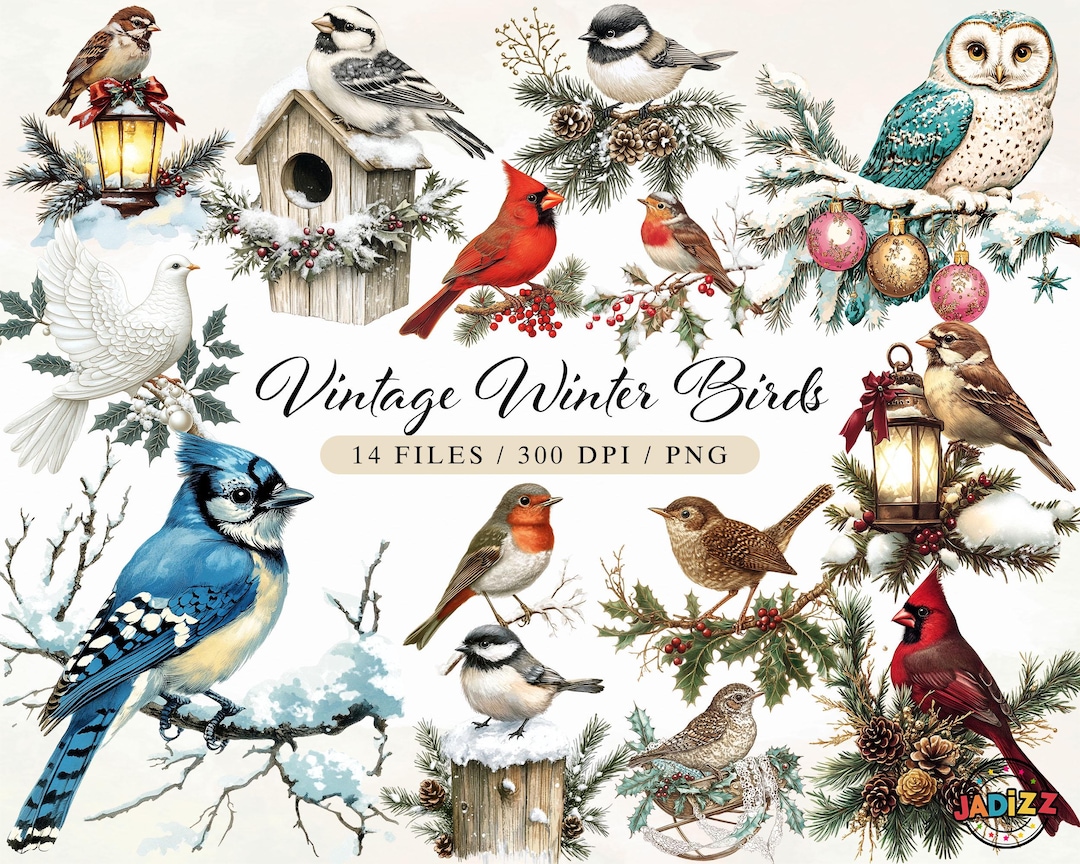 Vintage Winter Birds Clipart PNG Bundle, Christmas Shirt Design Bundle ...