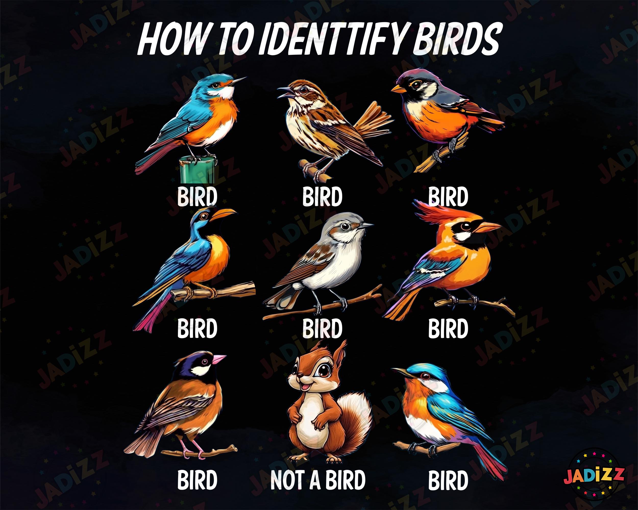 How to Identify Birds PNG, Funny Bird Identification Design Shirt, Witty Gift Idea for ...
