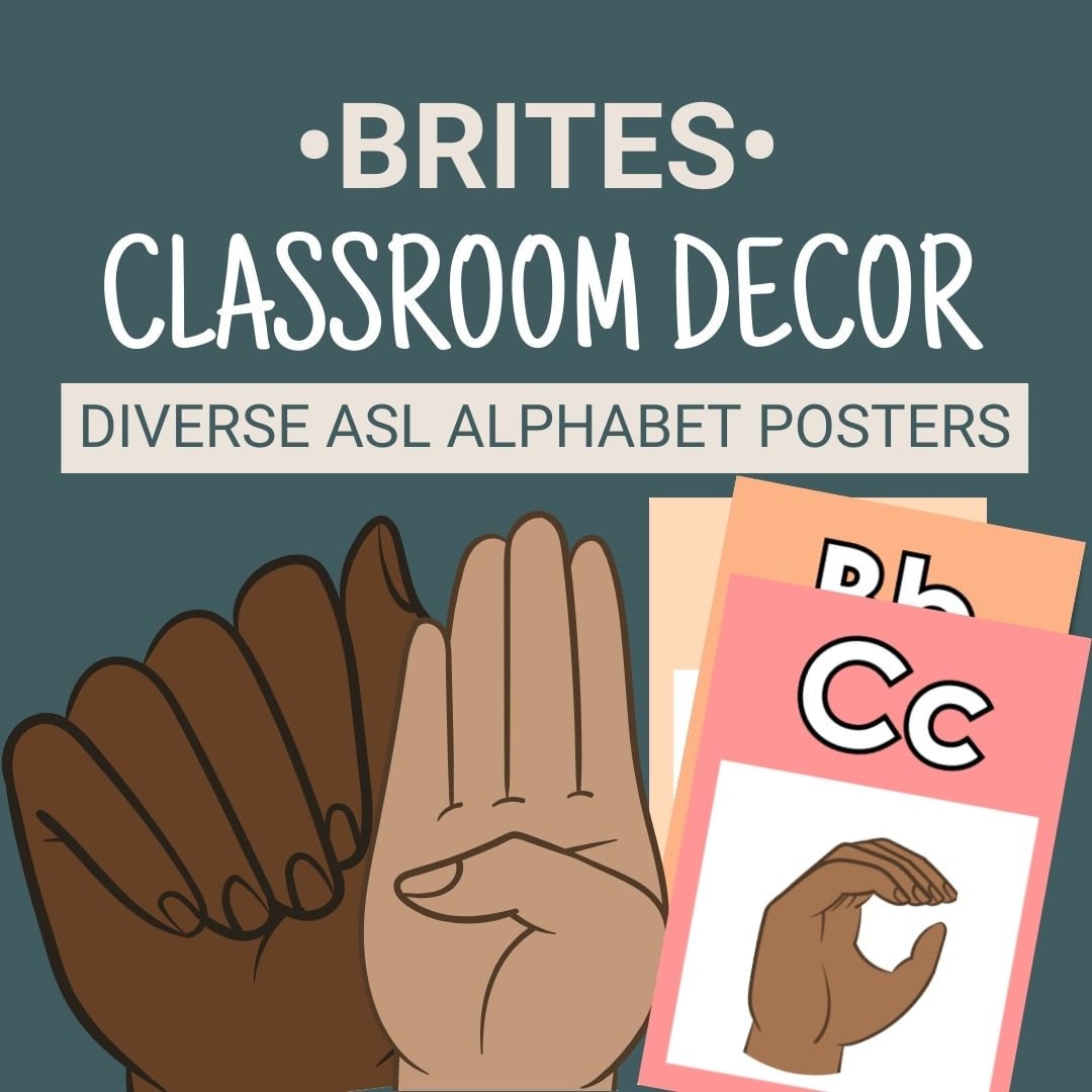 ASL | American Sign Language | Alphabet Poster | Rainbow Brites - Etsy