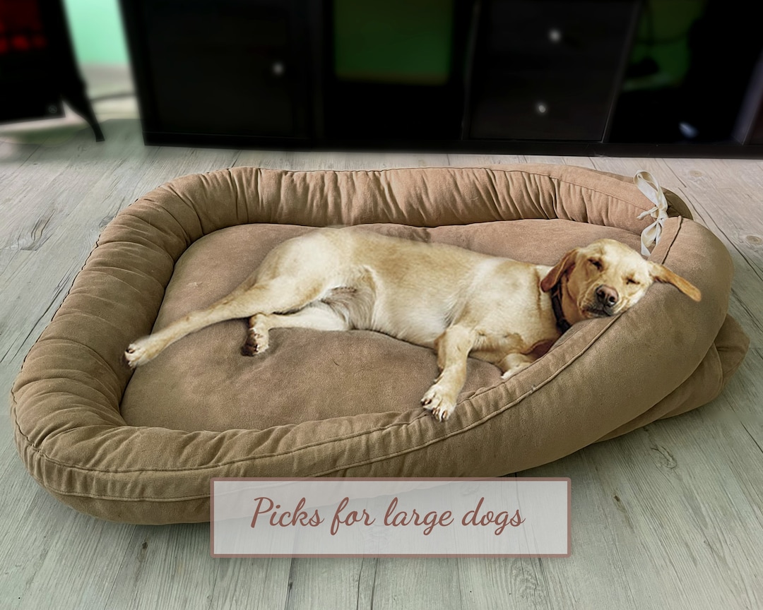 Extra Large Dog Bed, Custom Dog Furniture, Luxury Dog Bed With Name ...