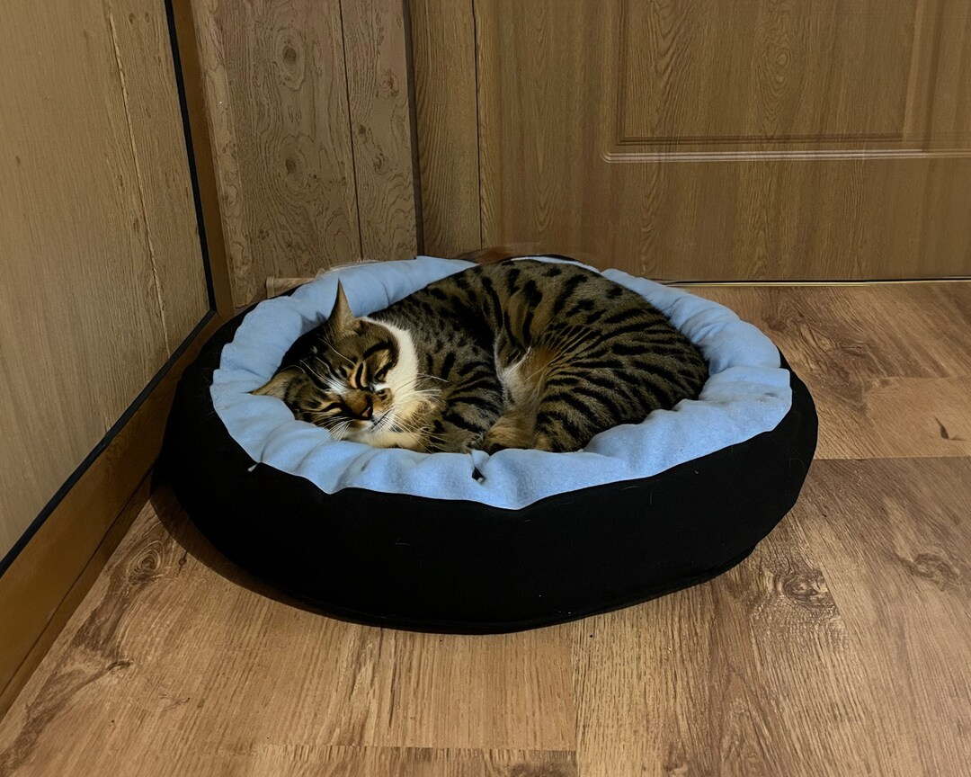 Modern Cat Bed, Cat Beds and Caves, Handmade Cat Furniture, Felt Cat ...