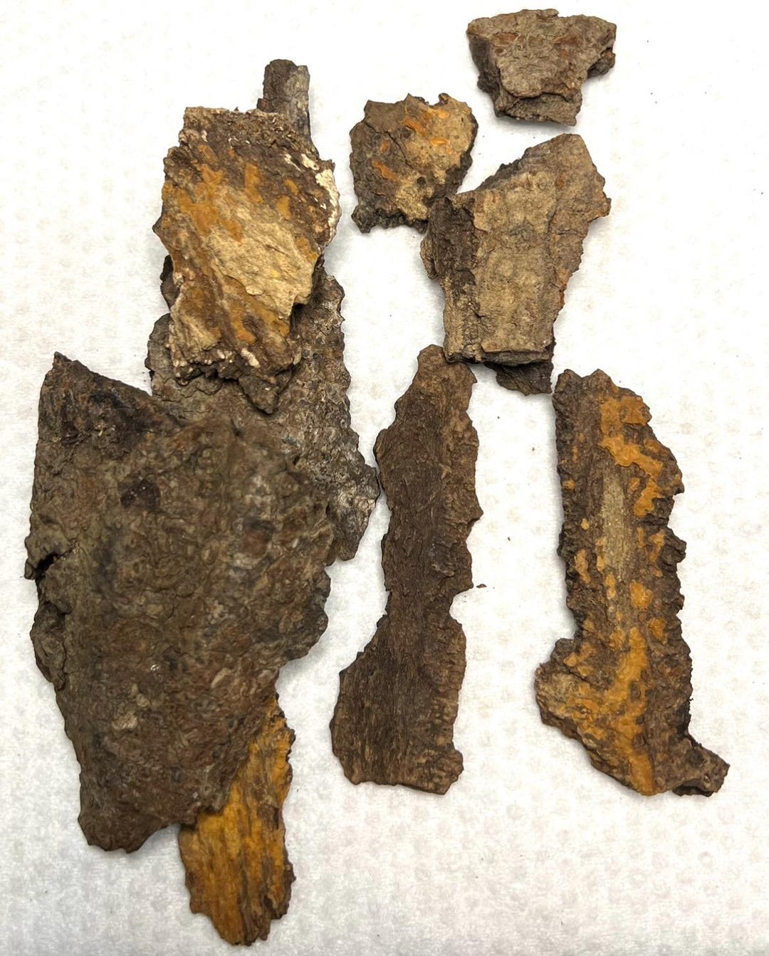 Igi Ahun stool Wood Tree Bark/alstonia Boonei-tree Bark-100% Original ...