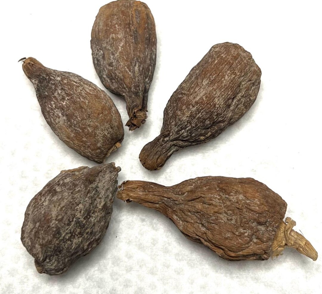 Whole African Alligator Pepper Pods Ataare Spice African Herbs-100% ...