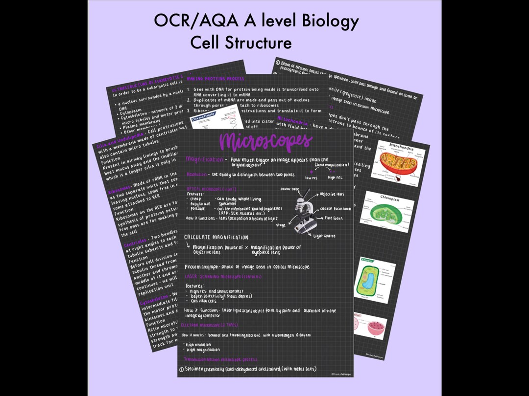 OCR/AQA a Level Biology Cell Structure Notes for Exam Success - Etsy UK