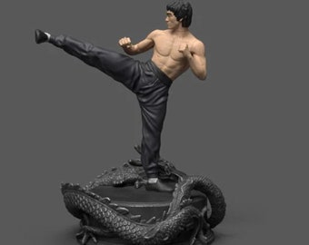 Bruce Lee 3d Printed - Etsy