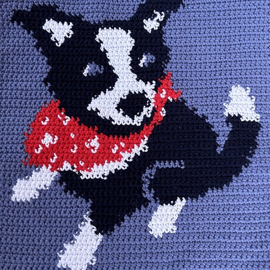 Collie Crochet Tapestry PDF Pattern - Etsy