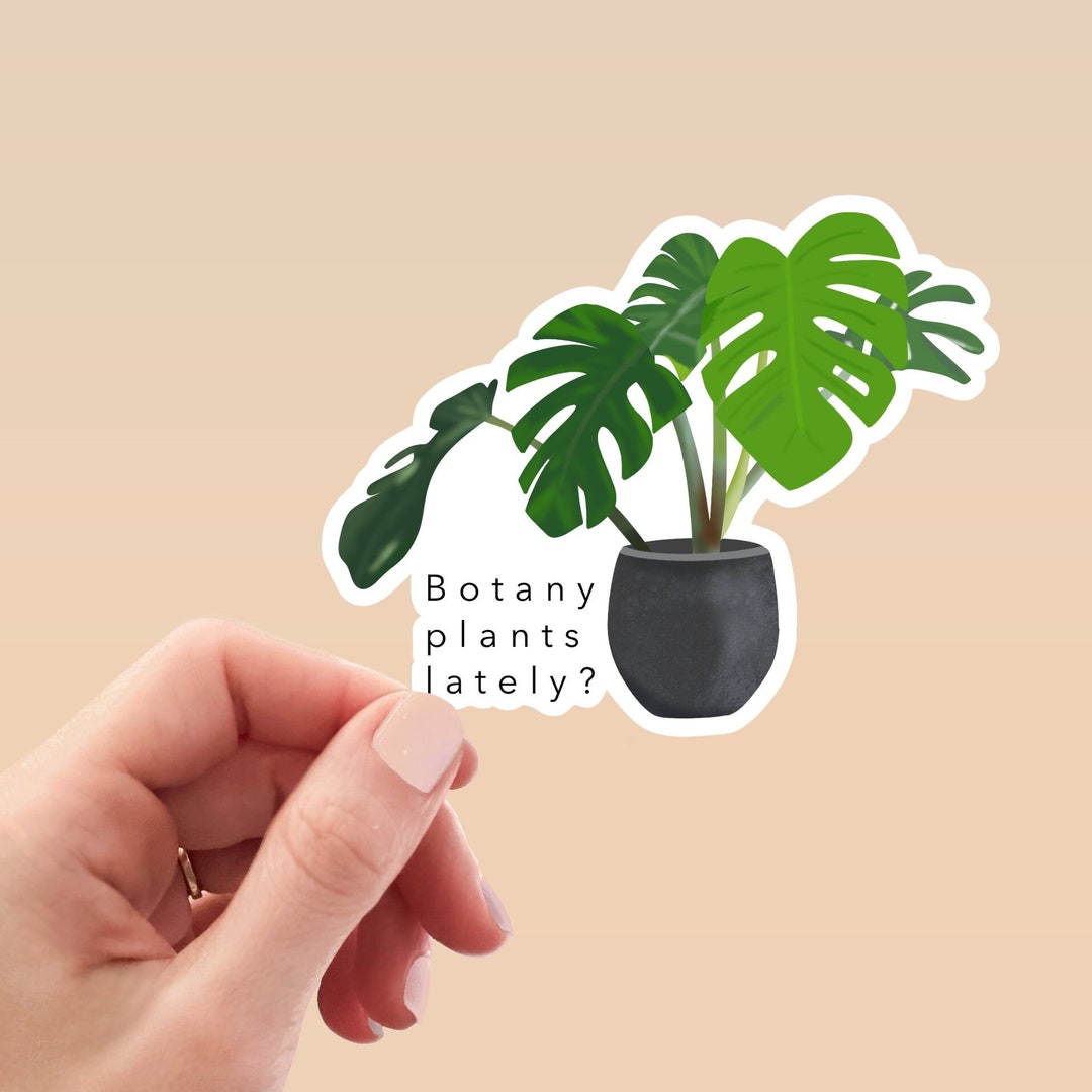 Botany Plants Lately Plant Sticker, Monstera Plant - Etsy