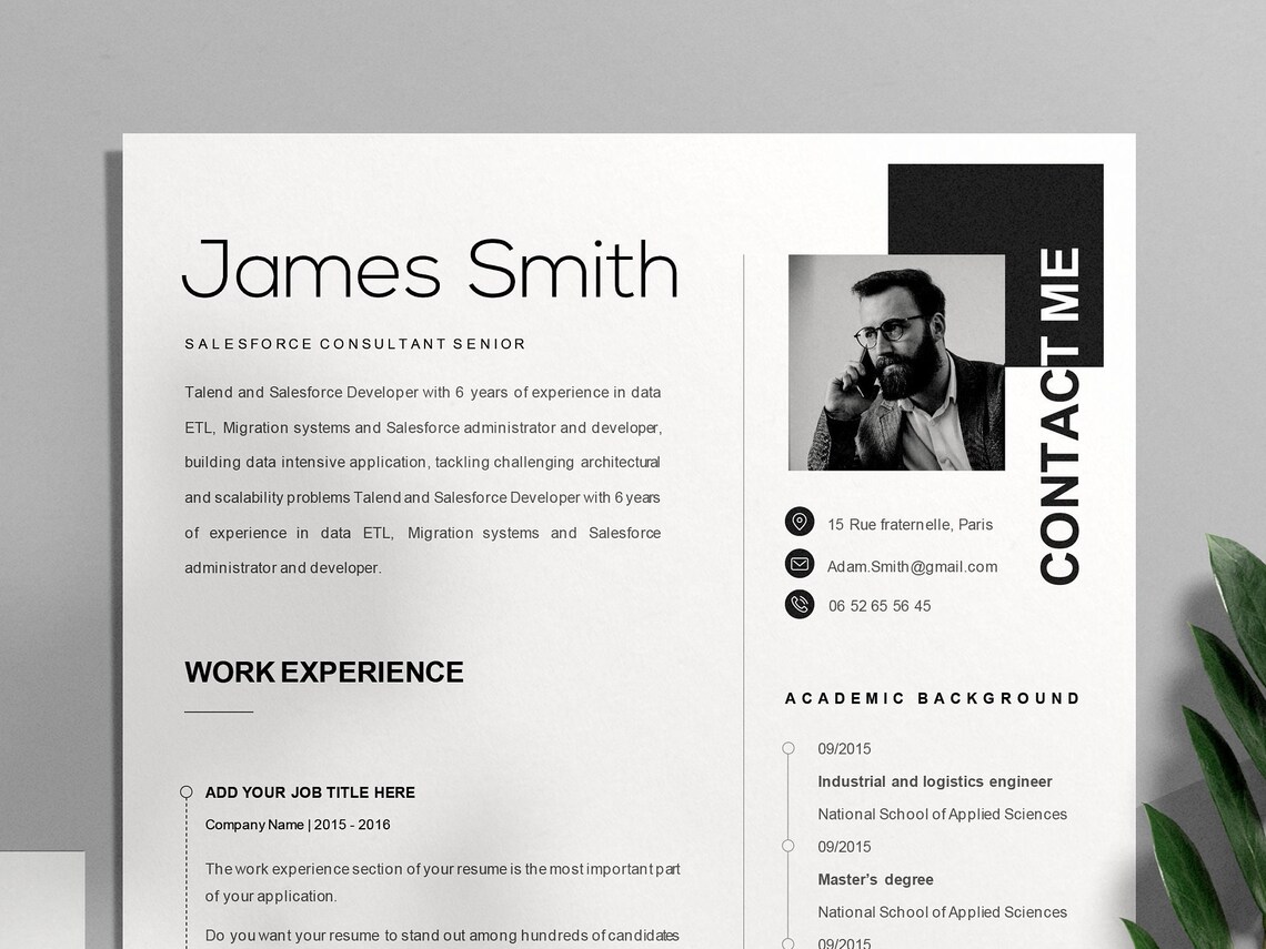 Modèle de CV Word Modèle de CV professionnel CV exécutif - Etsy France