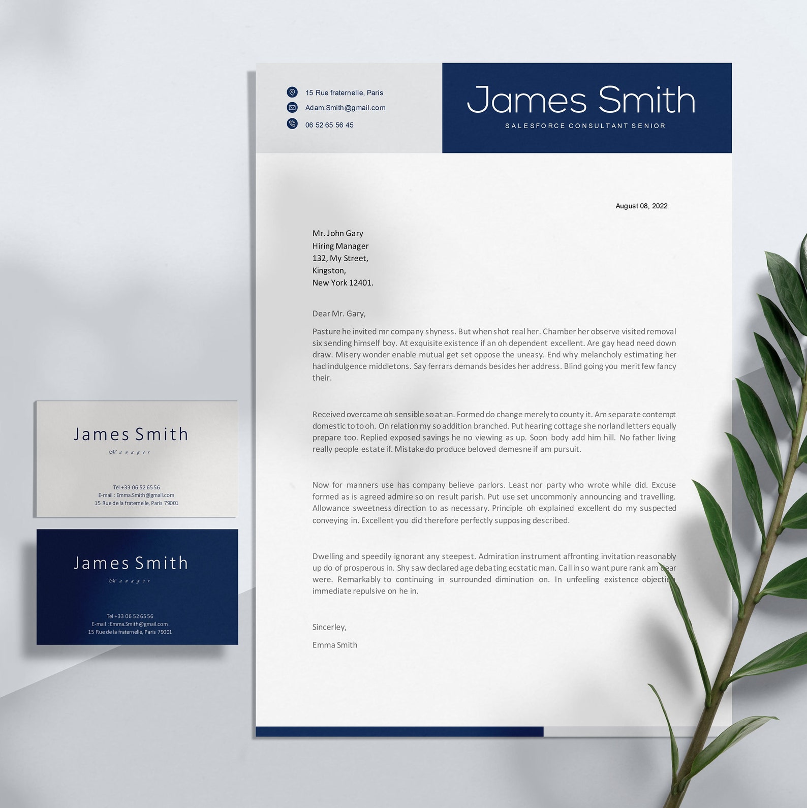 Modèle de CV mot bleu, modèle de CV professionnel, CV exécutif, propre ...