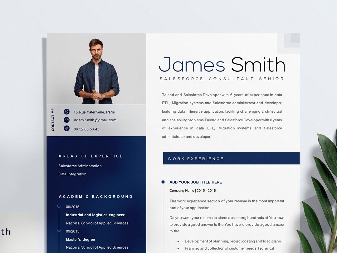 Modèle de CV mot bleu, modèle de CV professionnel, CV exécutif, propre ...