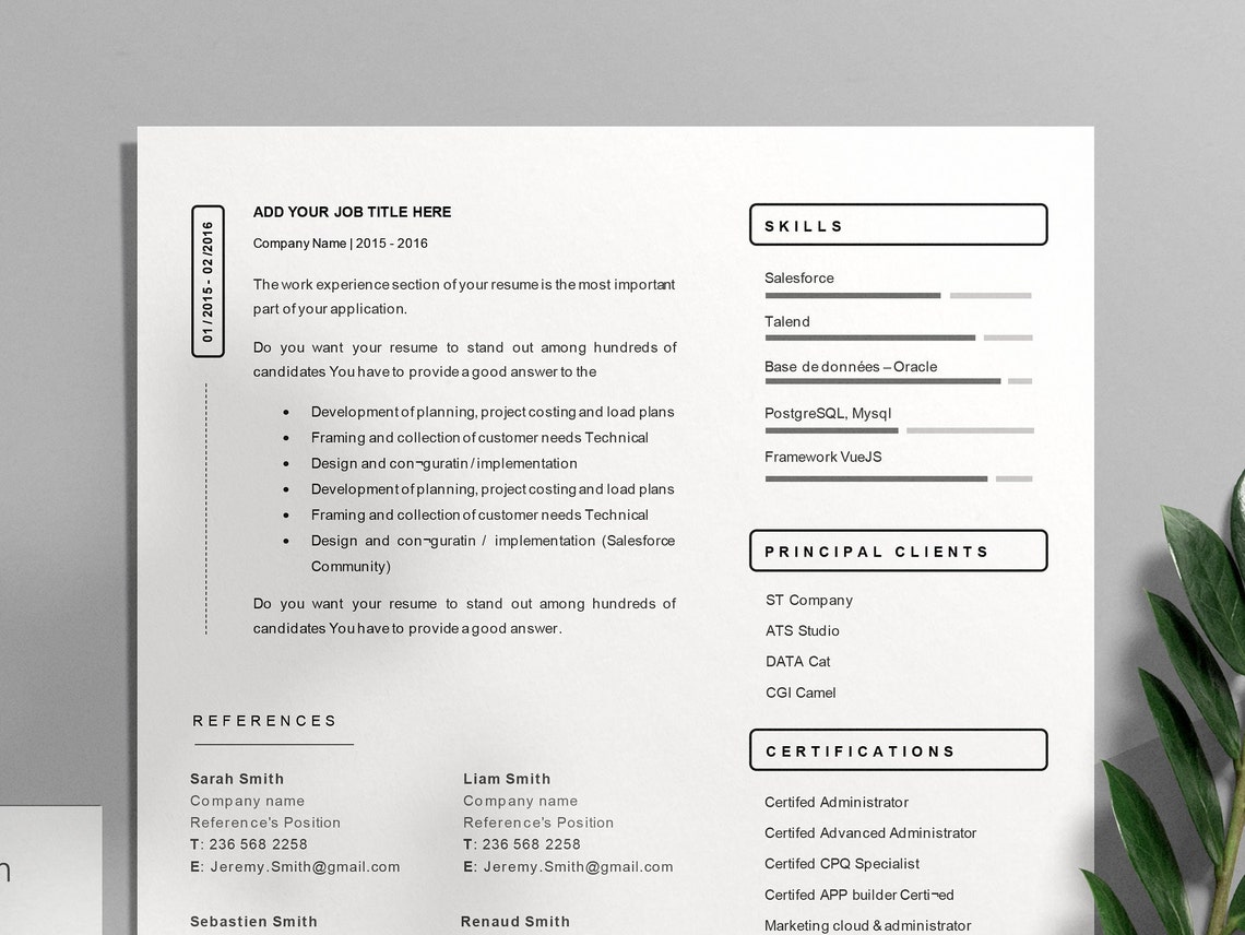 Modèle de CV Word, modèle de CV professionnel, CV exécutif, épuré ...
