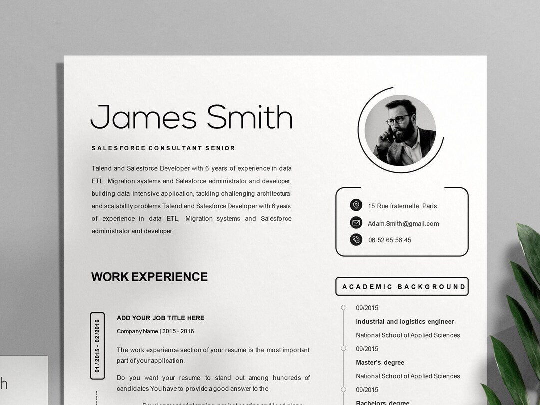 Modèle de CV Word, modèle de CV professionnel, CV exécutif, épuré ...