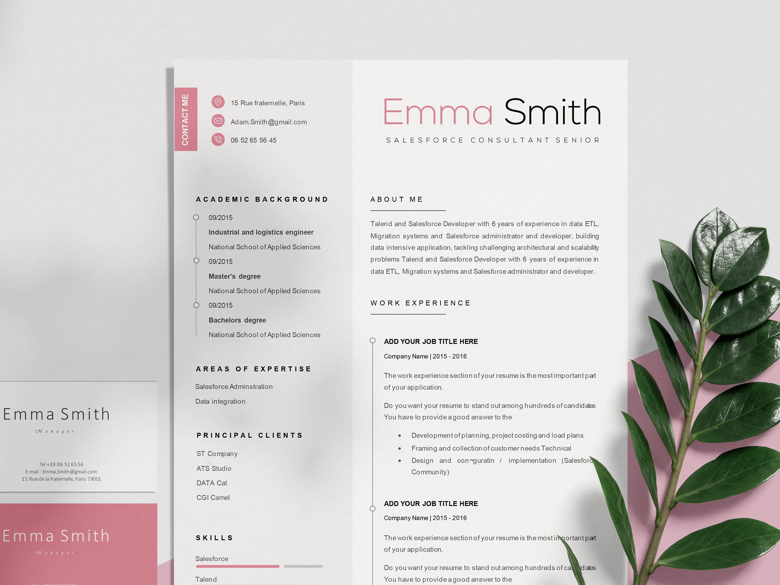 CV Template Word, CV Template Professional , Resume Template Word, Cv ...