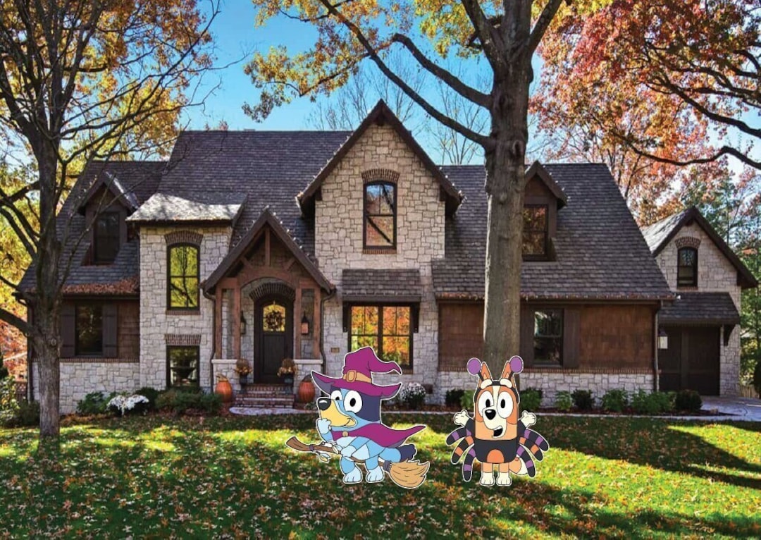 Bluey Witch Bingo Spider Halloween Costume Broom Stick Not so Spooky ...