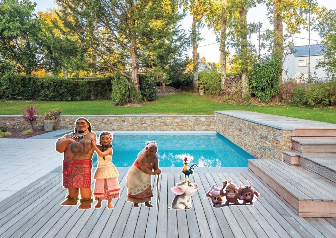 Moana Disney Movie Chief Tui Sina Hei Hei Pua Gramma Tala Kakamora ...