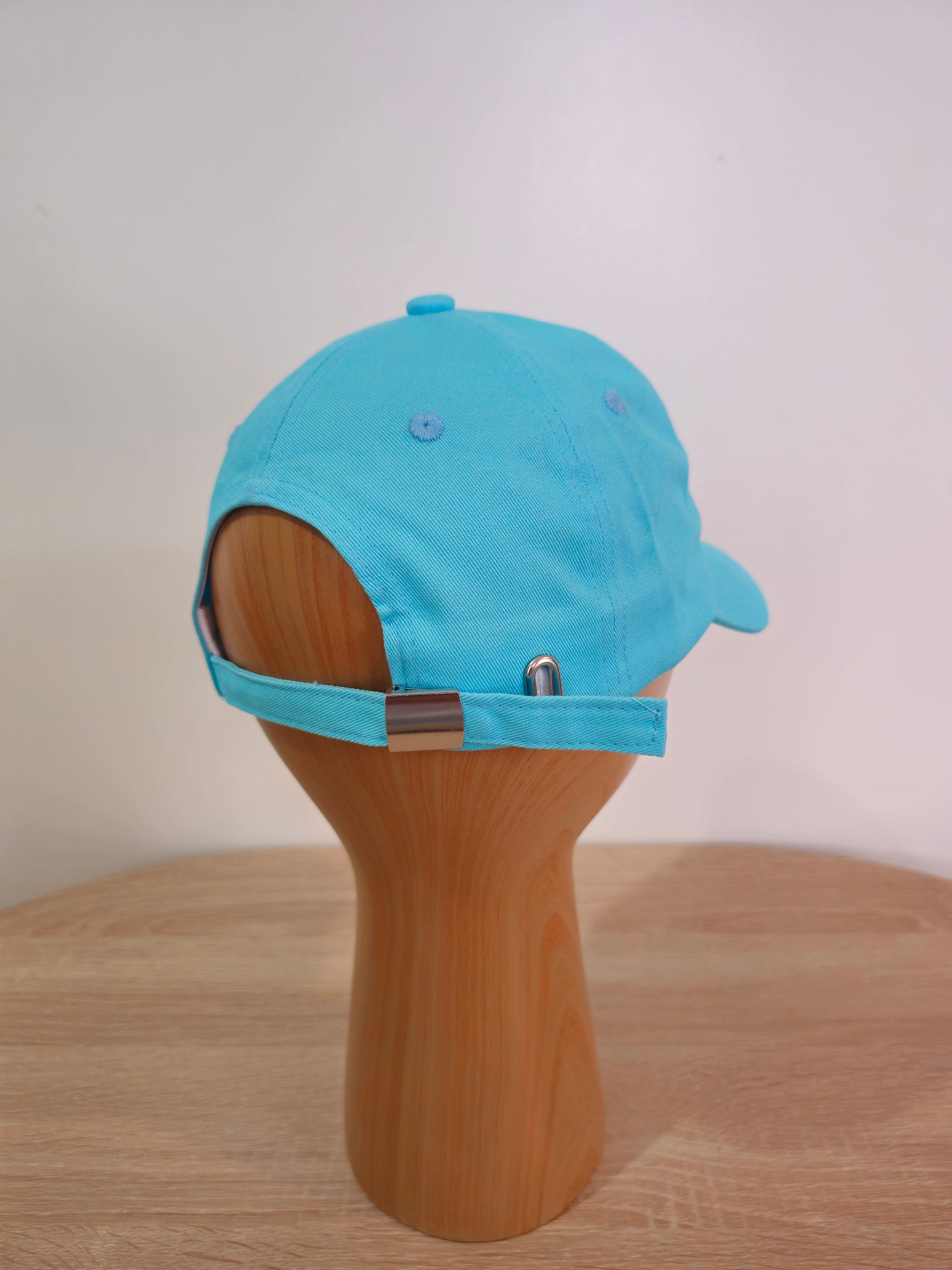 Pokemon Shiny Ditto Hat Embroidered Cap, Special Edition, Blue, Cotton ...