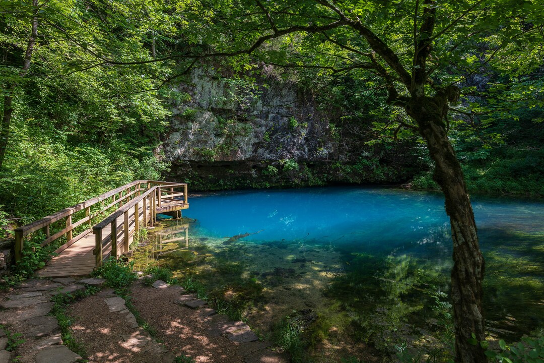 Blue Spring Wall Art, 8x12 Print W/ 12x16 Mat - Etsy