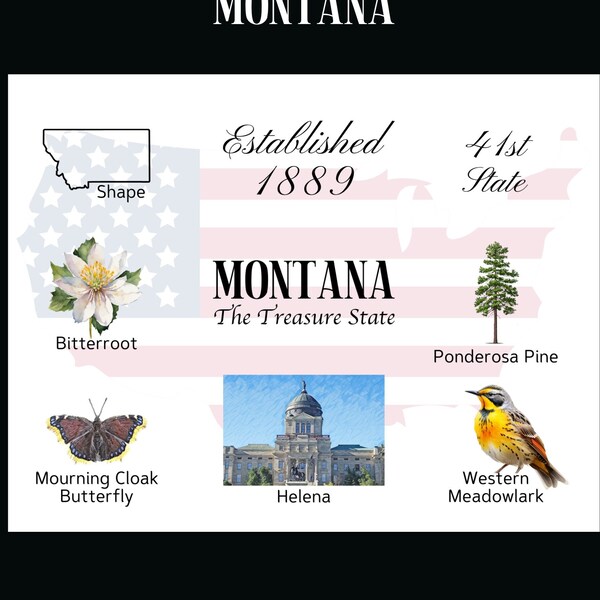 Montana Postcard - Etsy