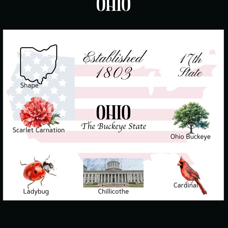 Ohio Postcards - Etsy