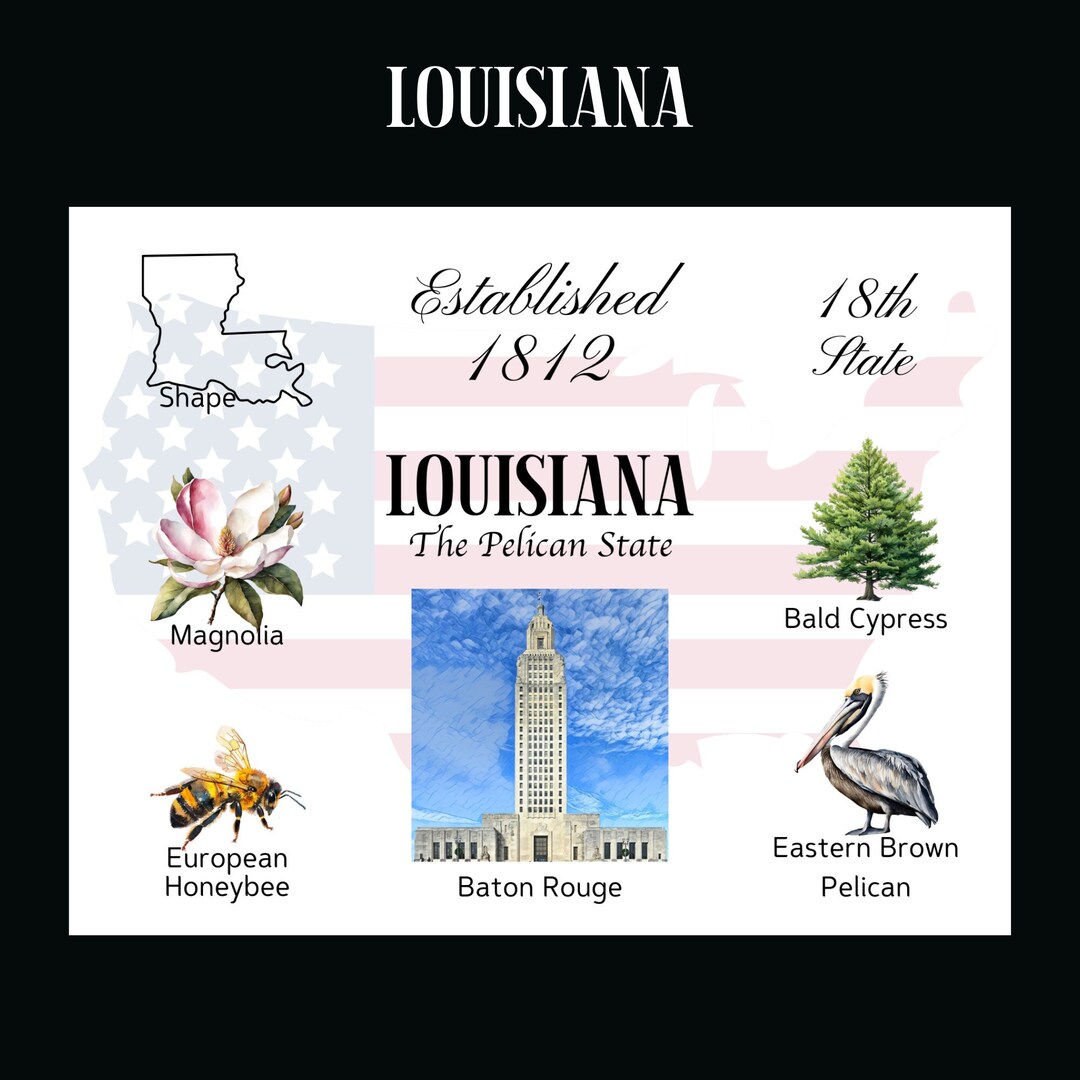 Louisiana Postcard Digital Download - Postcard Front Design - for ...