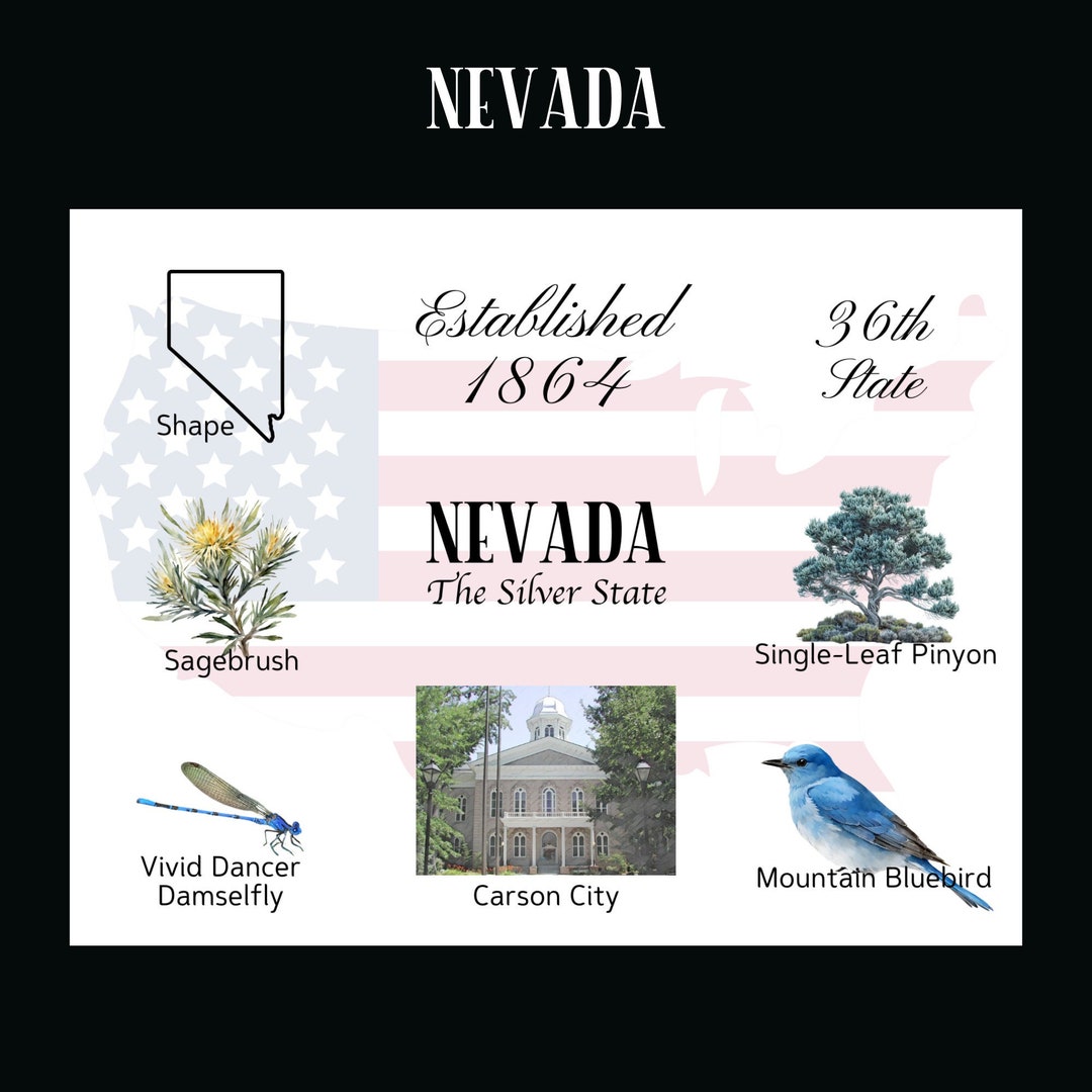 Nevada Postcard Digital Download - Postcard Front Design - for Printing ...