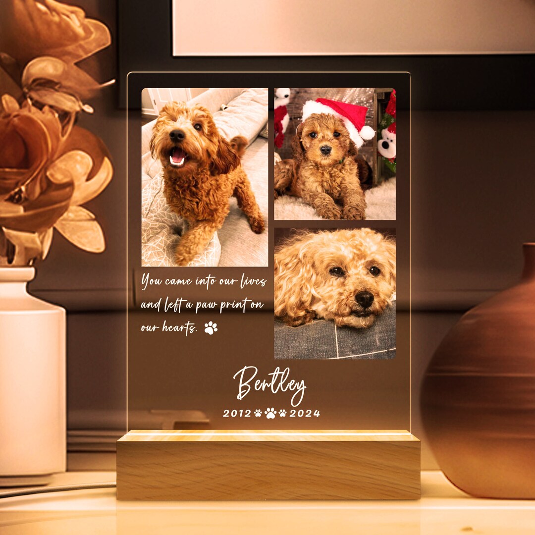 Personalized Photo Night Light, Pet Memorial Plaque, Personalized Gifts ...