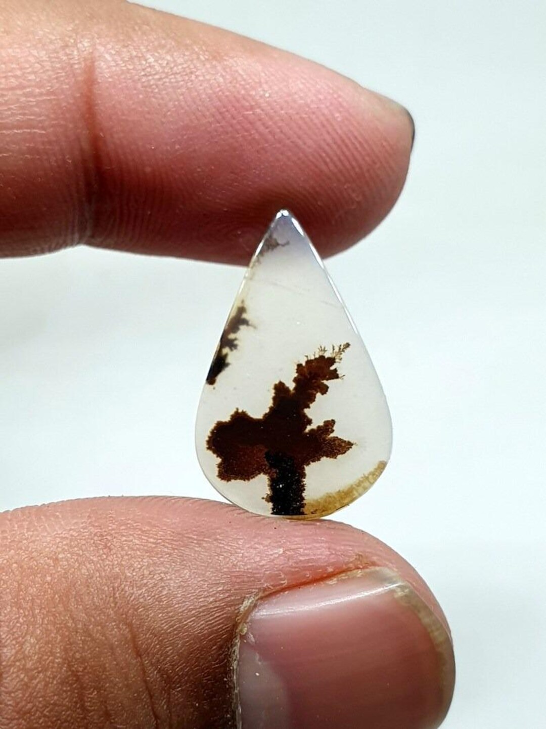 Shazar Scenic Dendrite Agate Teardrop Cabochon - Etsy