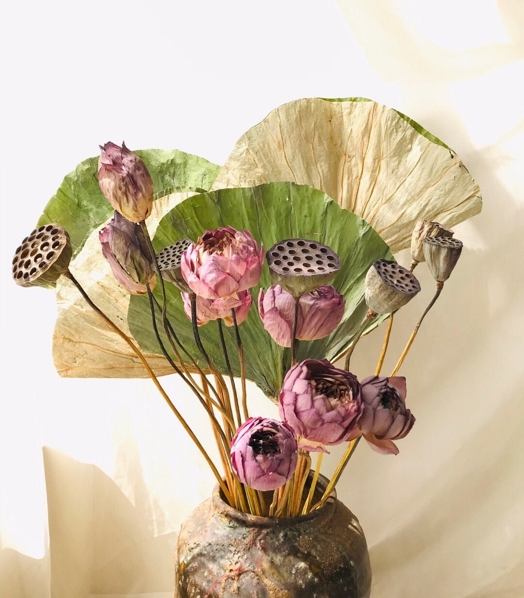 Dried Lotus Flower Pod