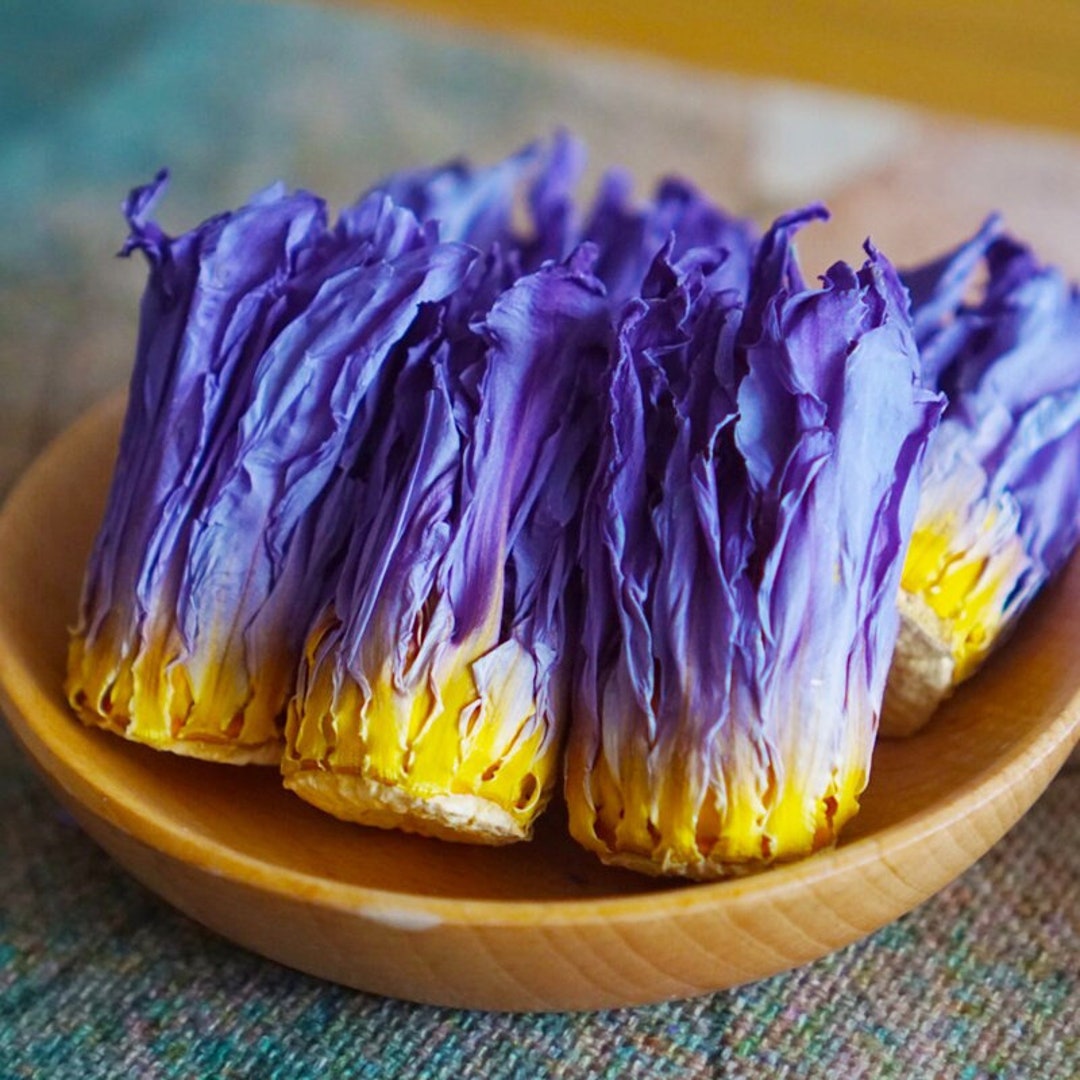 10 PCS High Quality Organic Dried Lotus Tea 100% Natural Blue - Etsy