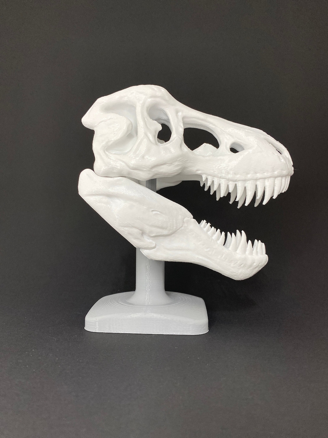 T-rex Skull, Tyrannosaurus Rex Skull and Stand, 3d Printed T-rex ...